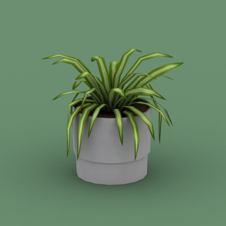 31 Sims 4 Plants CC (Hanging, Indoor, Outdoor Plants, and More)